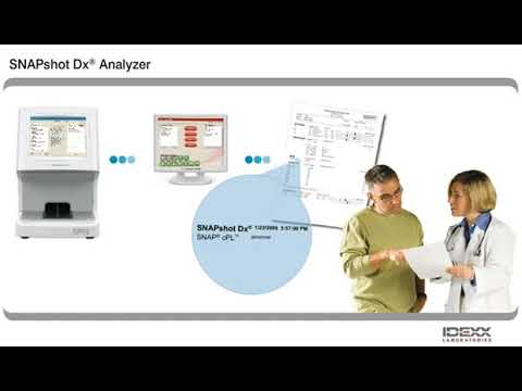 IDEXX SNAPShot Dx (Analizador de hormonas Veterinario) – Equipamed